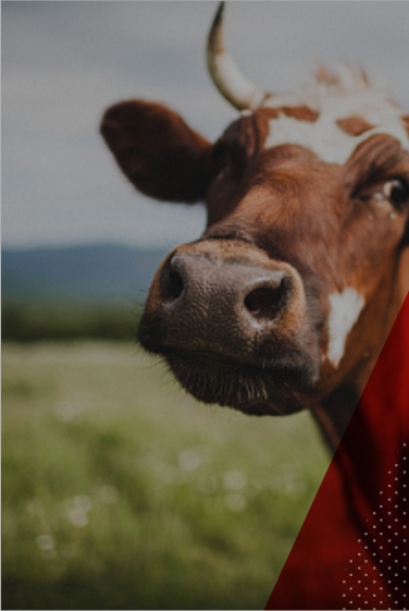 Le Carré Farago - Produits et services pour l’agriculture